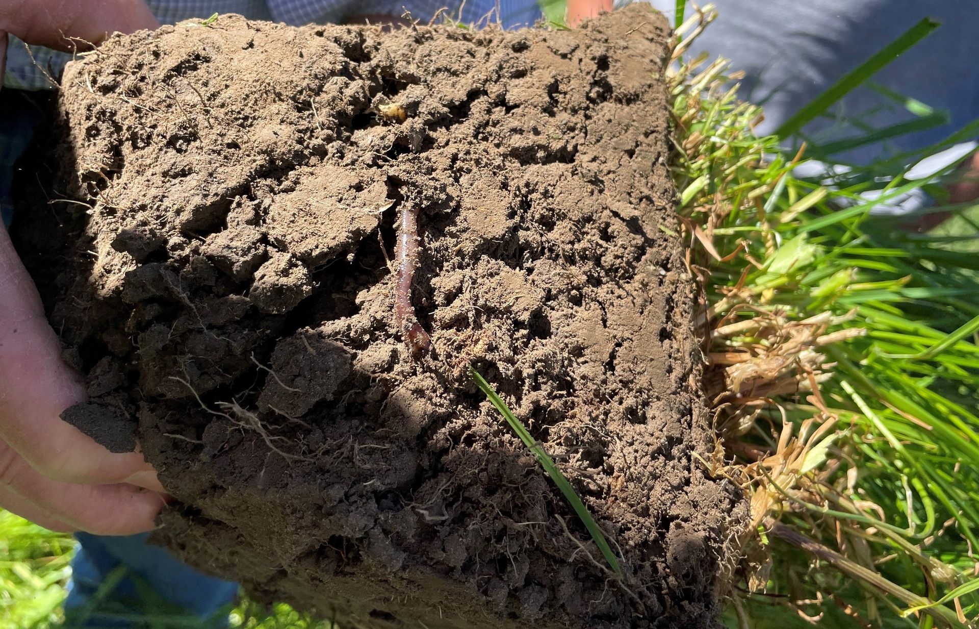 Complete Fertiliser Solutions NZ | Soil Health & Nutrient Efficiency
